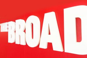 The Broad Museum Review : Contemporary Art in Los Angeles