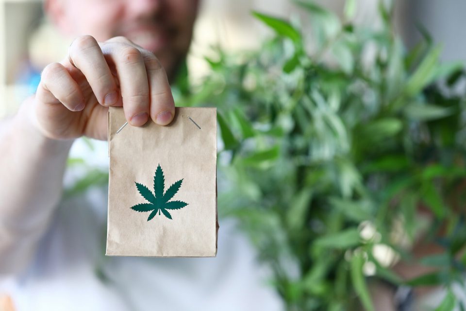 10 choses à absolument savoir sur la fleur de CBD